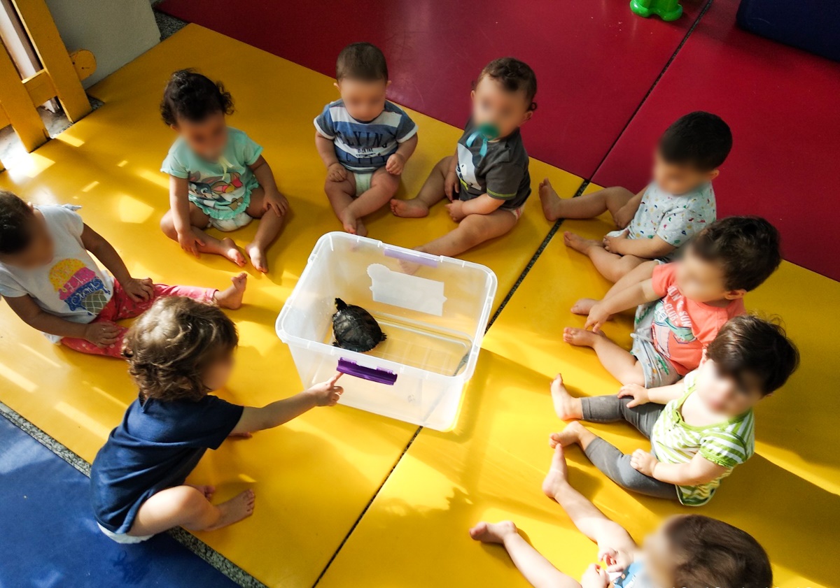 Dia Mundial do Animal na Creche do Mestre Cuco